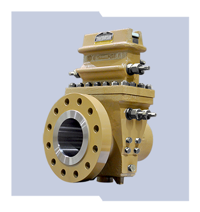 Senior Orifice Meter for Liquid & Gas Flow Measurement | CRT