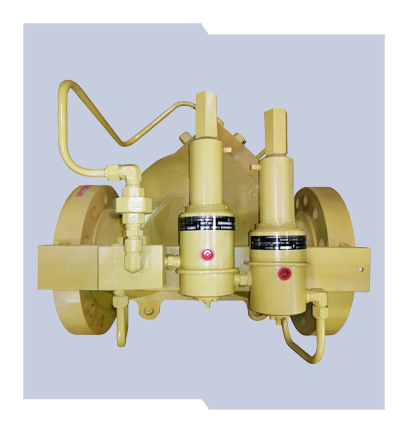 External Pilot Control Valve for Liquid Flow & Pressure